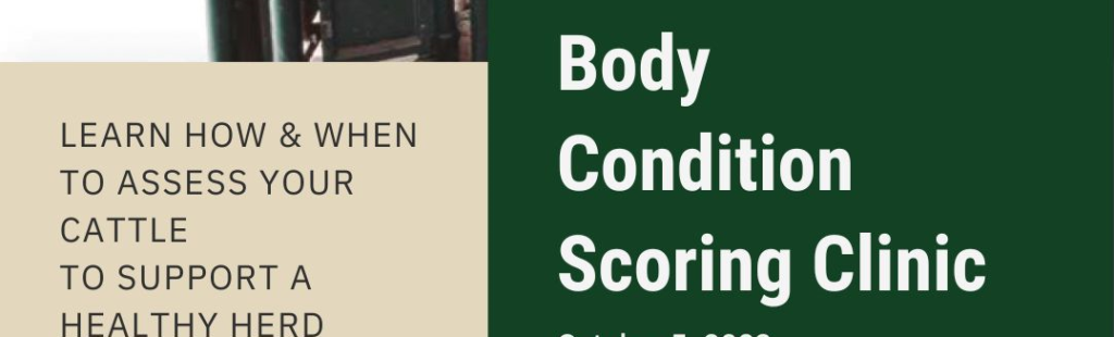 Body Condition Scoring Clinic: Oct 19th - Peace River Forage Association
