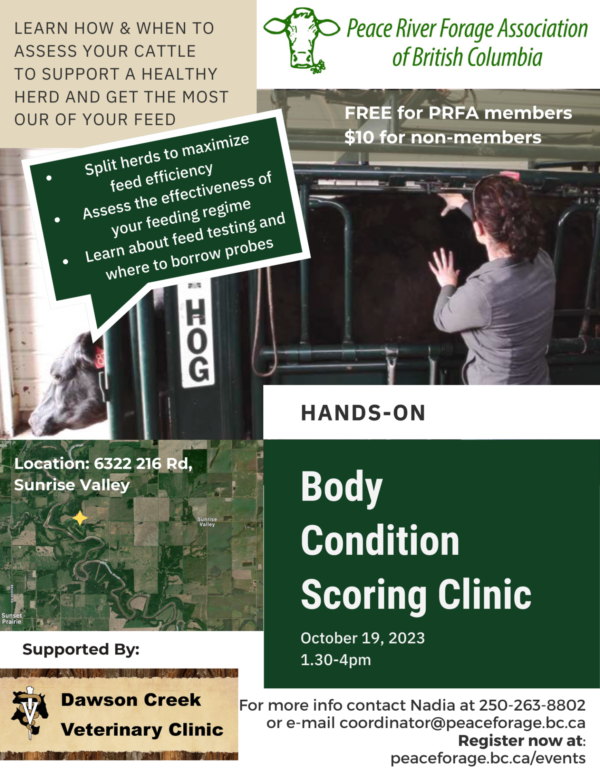 Body Condition Scoring Clinic: Oct 19th – Peace River Forage Association