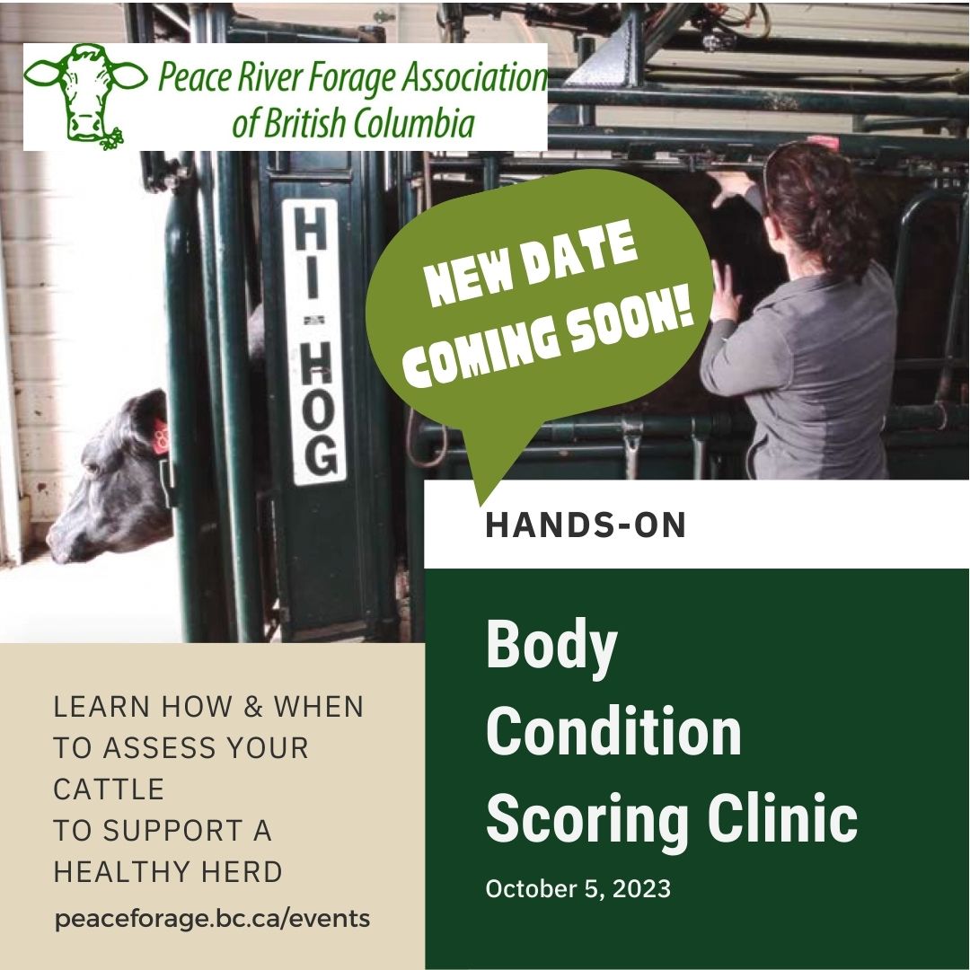 New date coming soon for Body Condition Scoring Clinic - Peace River ...