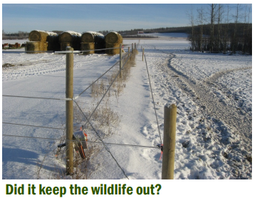Ever Heard of 3D Wildlife Fencing to Protect Feed? - Peace River Forage ...